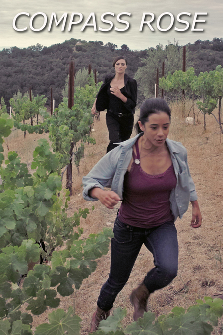 Compass Rose - Artemis Motion Pictures